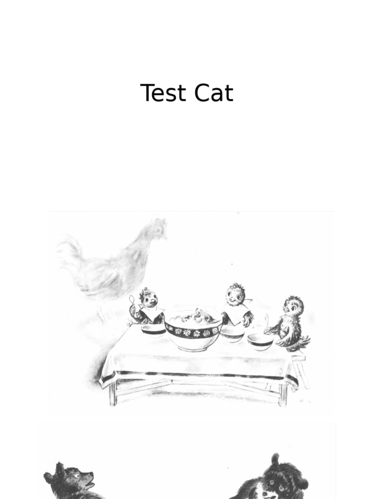 CAT Test | PDF