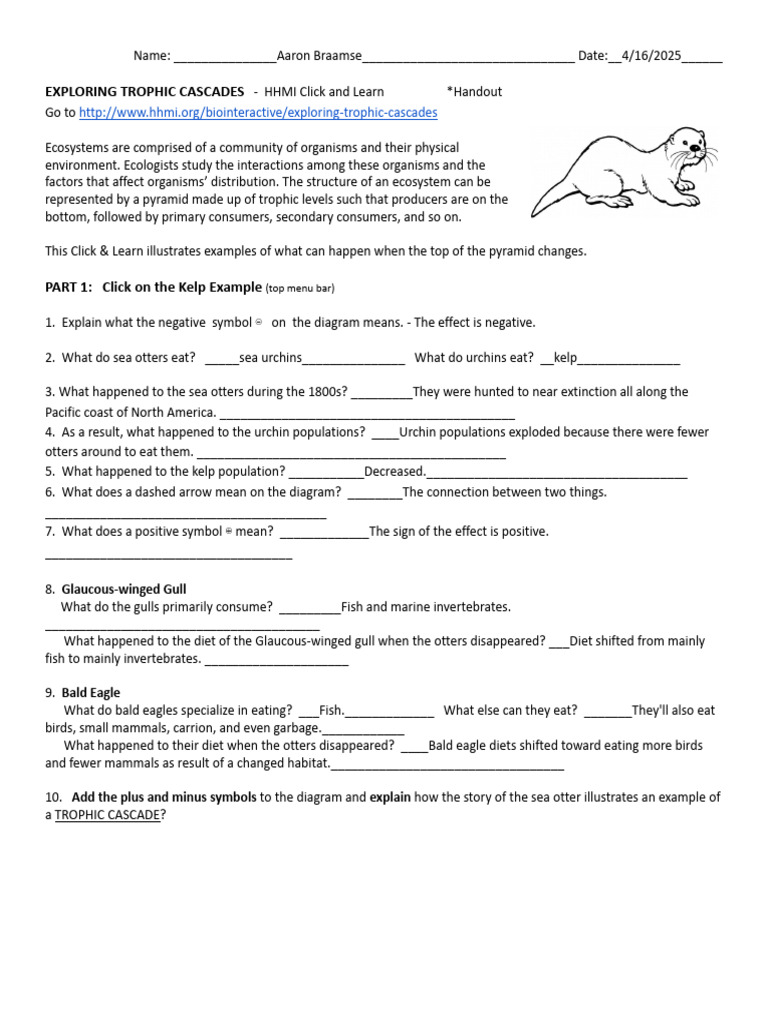 Trophic Cascades: Ecosystem Dynamics Explained | PDF | Food Web | Predation