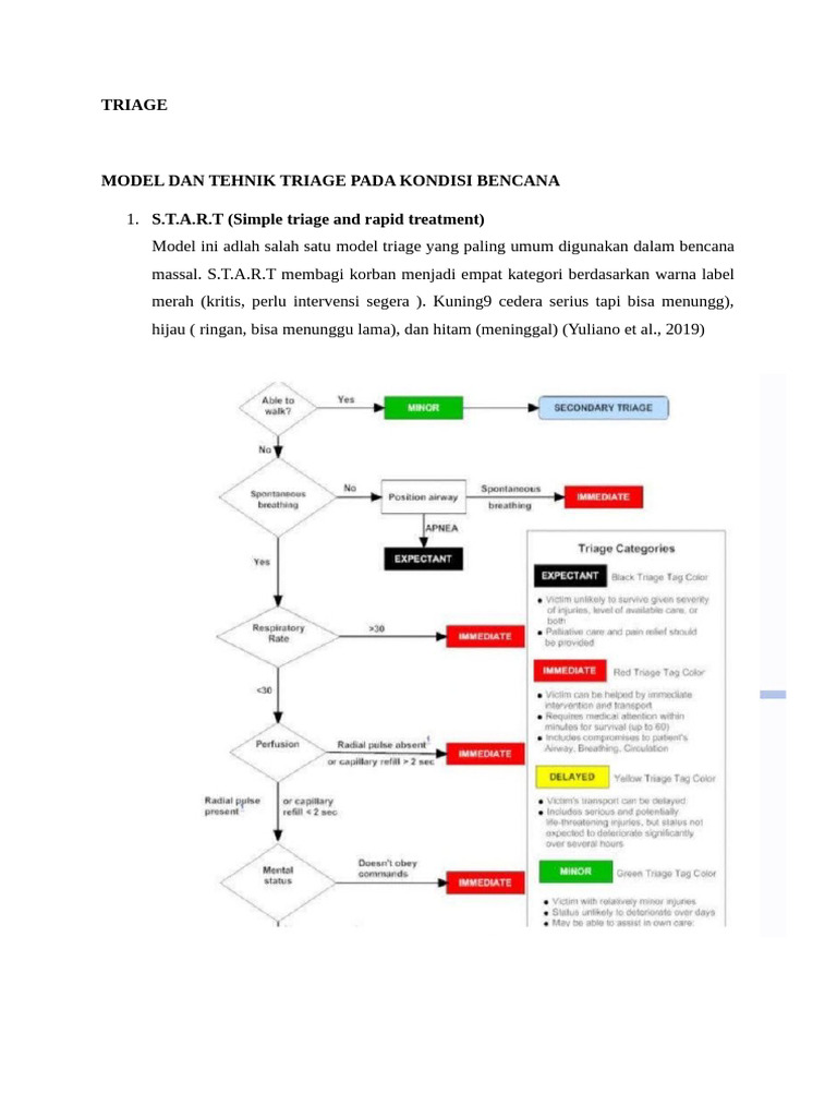 Konsep Teori Triage Kelompok 3 Siaga Bencana | PDF