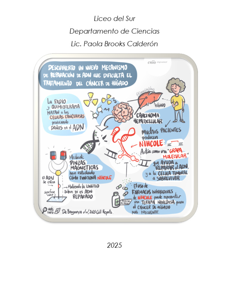 Componentes y Funciones de la Célula | PDF | Mitosis | Citoplasma