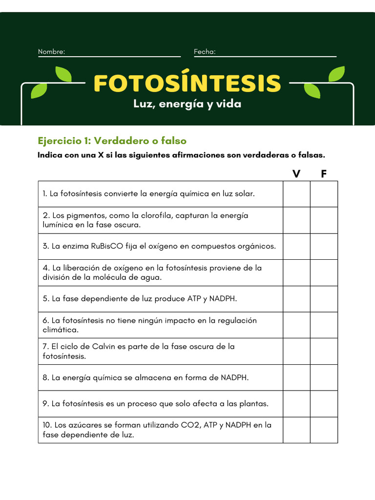 Claves de la Fotosíntesis: Ejercicios y Conceptos | PDF