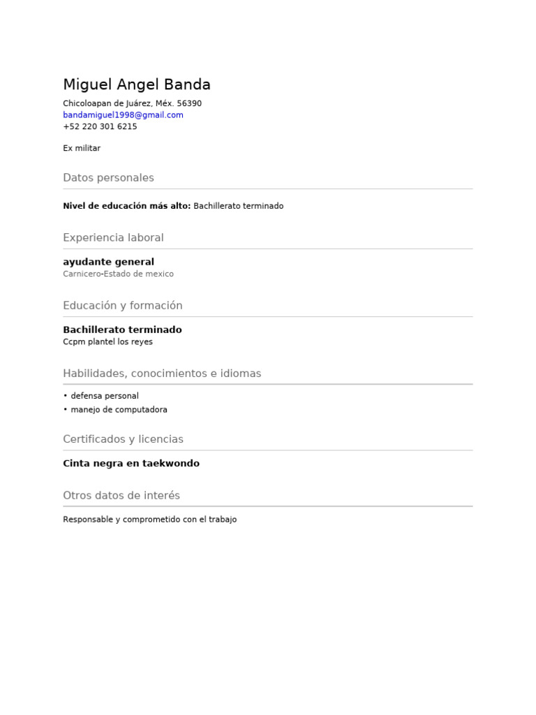 Currículum de Miguel Ángel Banda | PDF