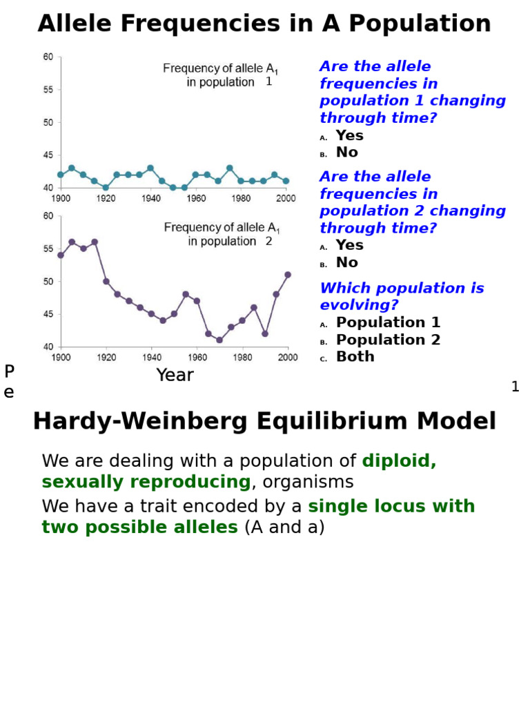 Hardy-Weinberg Equilibrium Overview | PDF | Evolution | Genetics