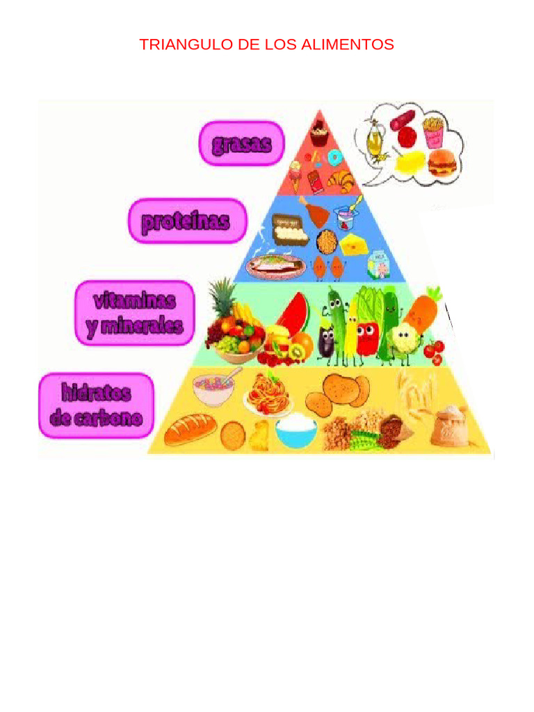 Triangulo de Los Alimentos | PDF
