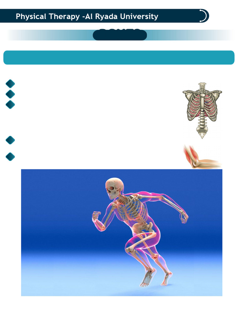 General Anatomy 2 PT (Bone-Cartilage - Skin) | PDF | Bone | Skin