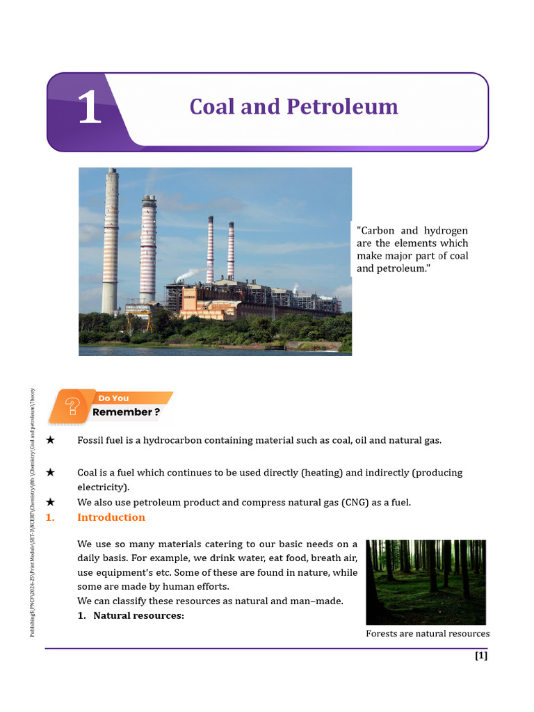 Coal and Petroleum | PDF | Petroleum | Fuels