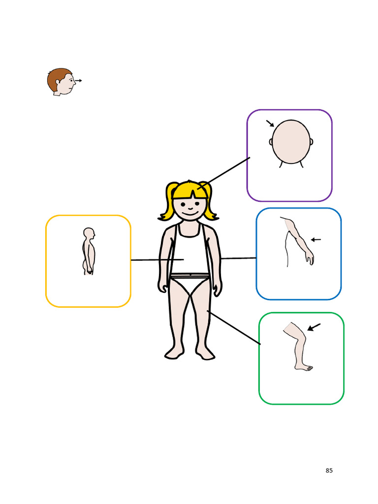 Covjek Dijelovi Tijela | PDF