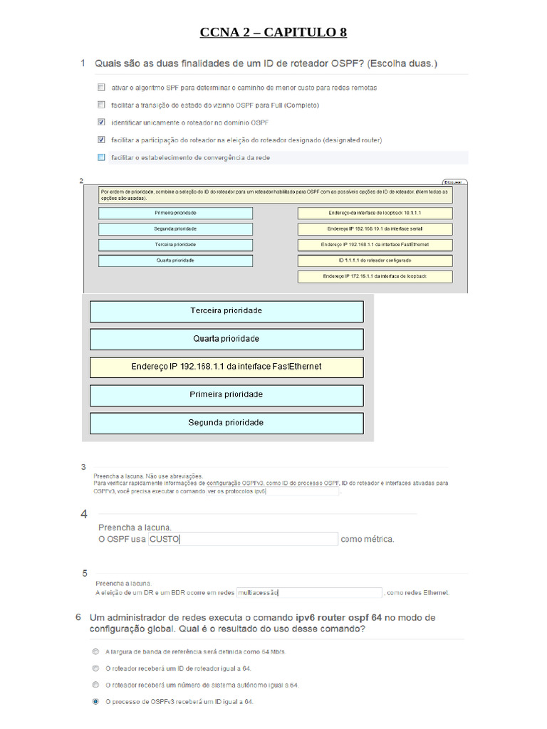 Ccna 2 - Exame Do Capitulo 8 | PDF