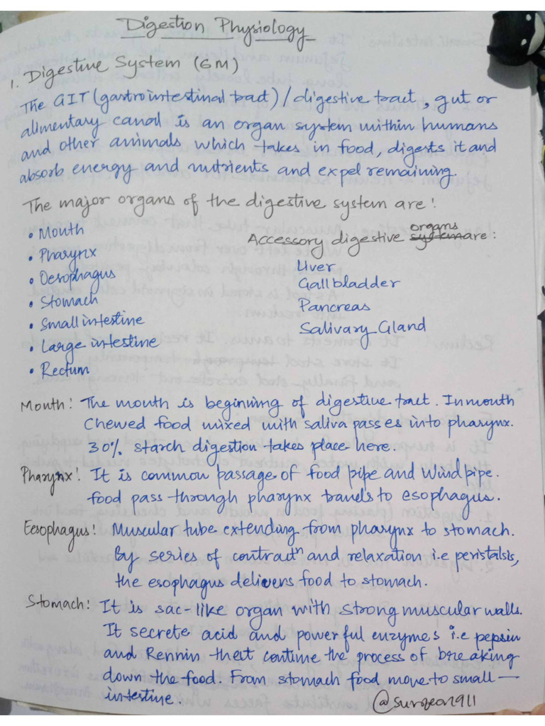 Digestive System 1 - 1 | PDF