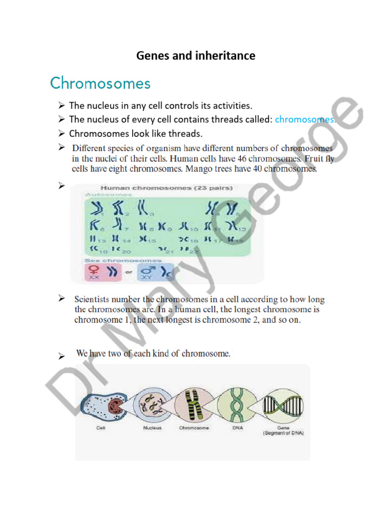 Genes and Inheritance - Copy WEu1KJ | PDF