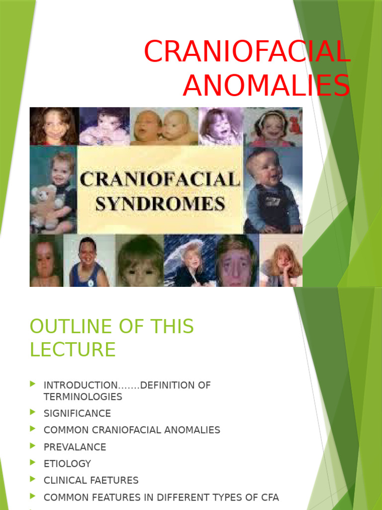 Craniofacial Anomalies | PDF | Diseases And Disorders | Congenital Disorder