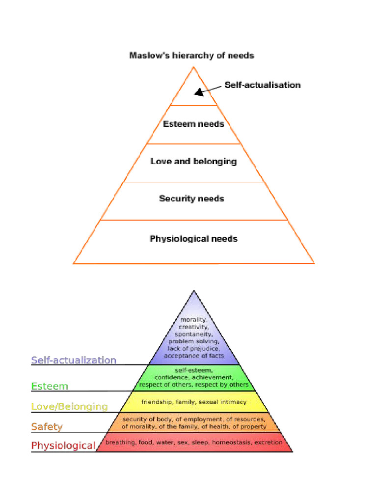 Maslows Hierarchy | PDF
