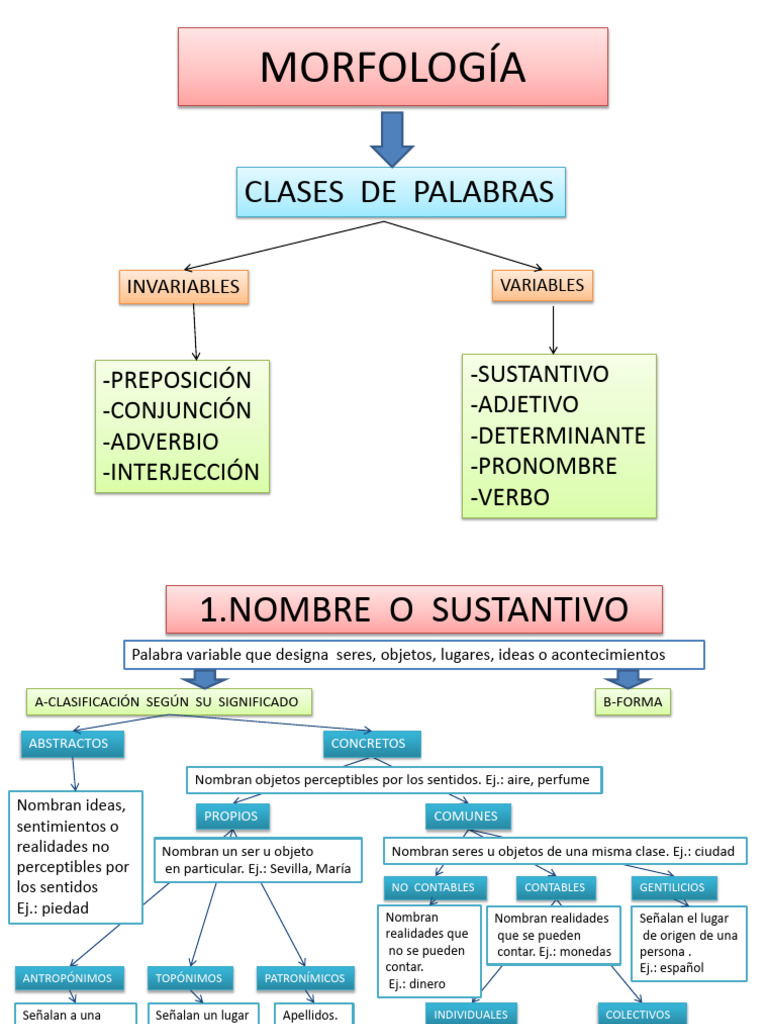 Clases de Palabras y Morfología en Español | PDF | Sustantivo | Verbo