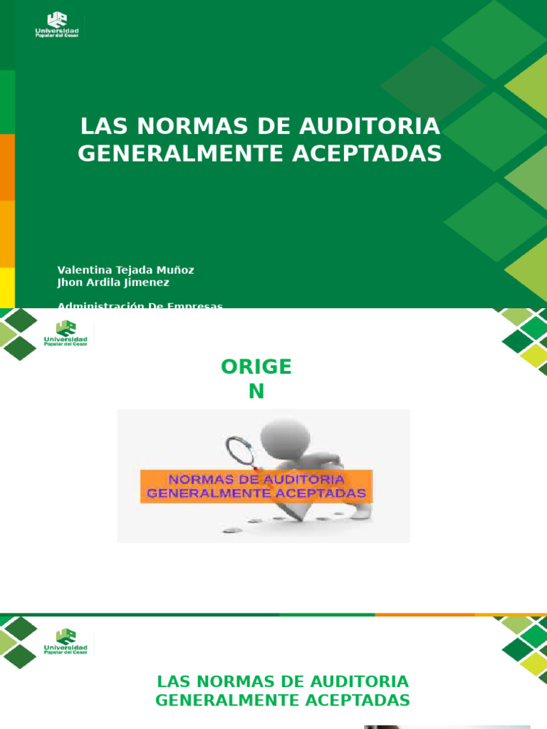 Normas de Auditoría Generalmente Aceptadas | PDF | Auditoría | Contralor