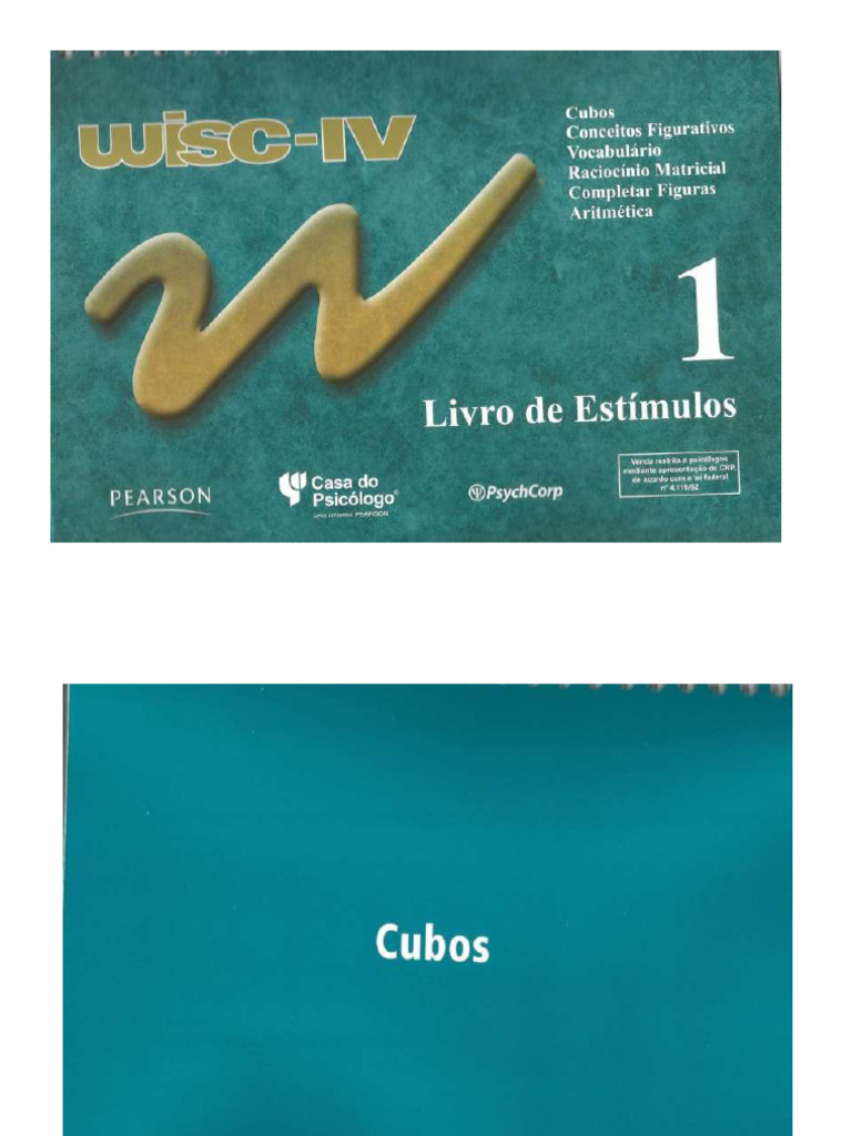 Wisc IV Caderno de Aplicação | PDF
