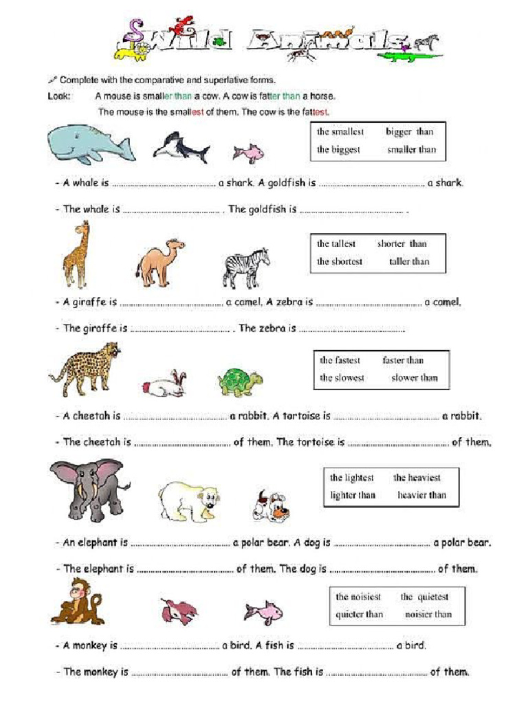 5° Comparatives and Superlatives | PDF
