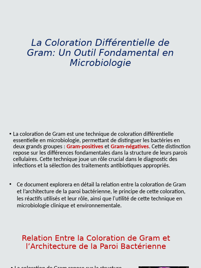 Présentation La coloration de GRAM (1) | PDF | Gram négatif | Bactérie