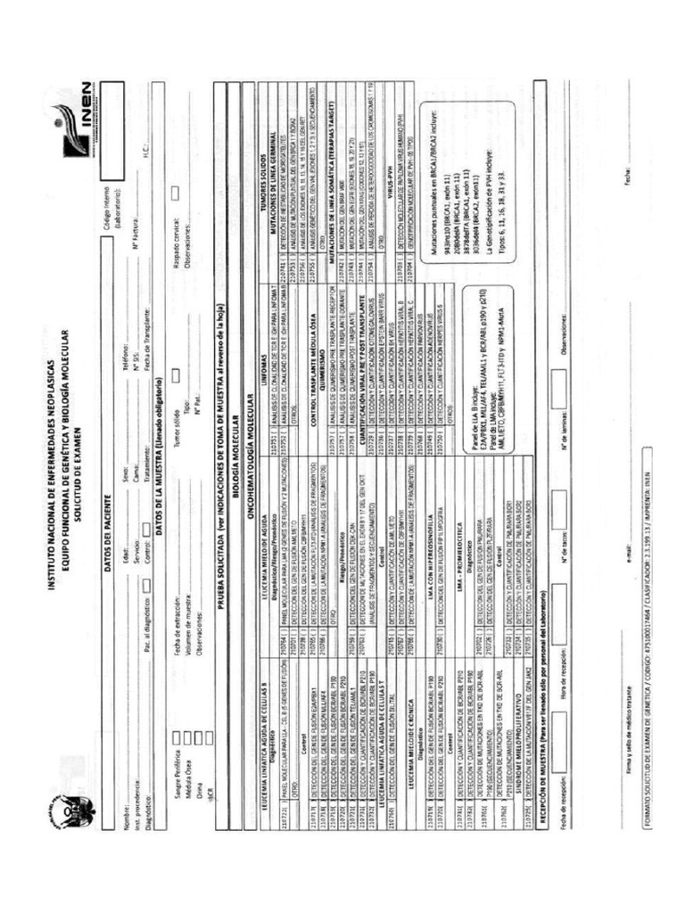 Formato Panel Molecular | PDF