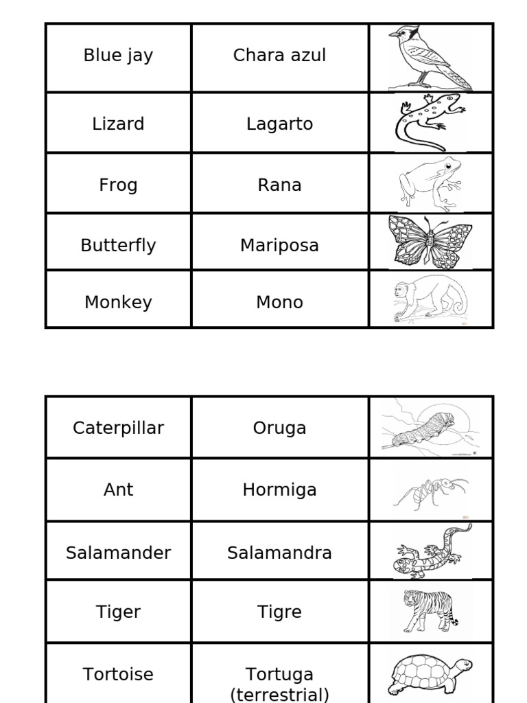 Jungle Matching Card Game | PDF