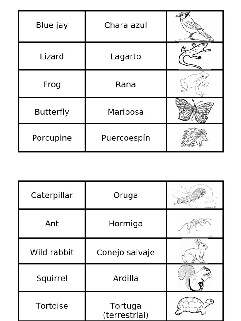 Forest Matching Card Game | PDF