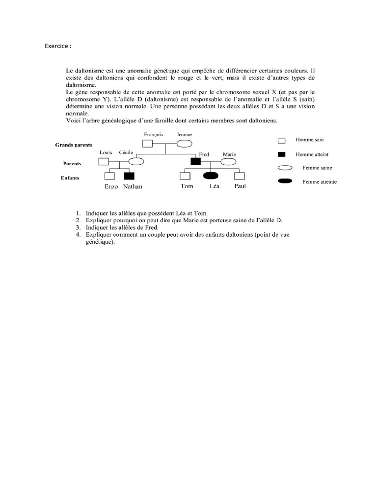 Exercice 3 Eme | PDF