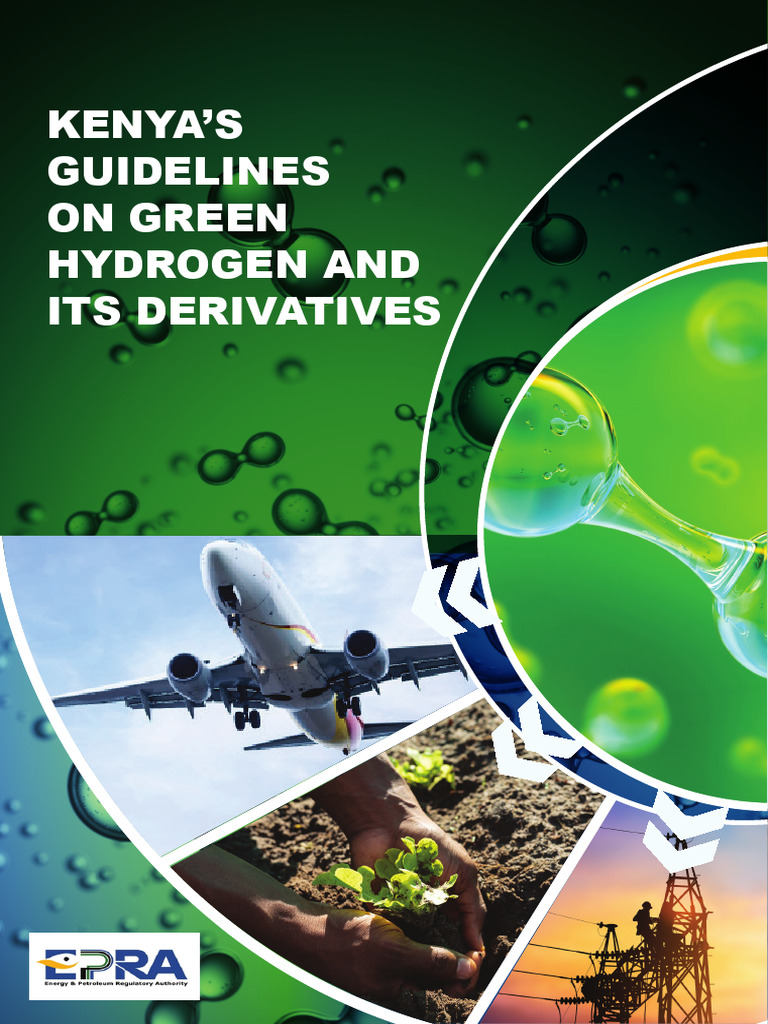 Kenya's Green Hydrogen Guidelines 2024 | PDF | Renewable Energy | Ammonia