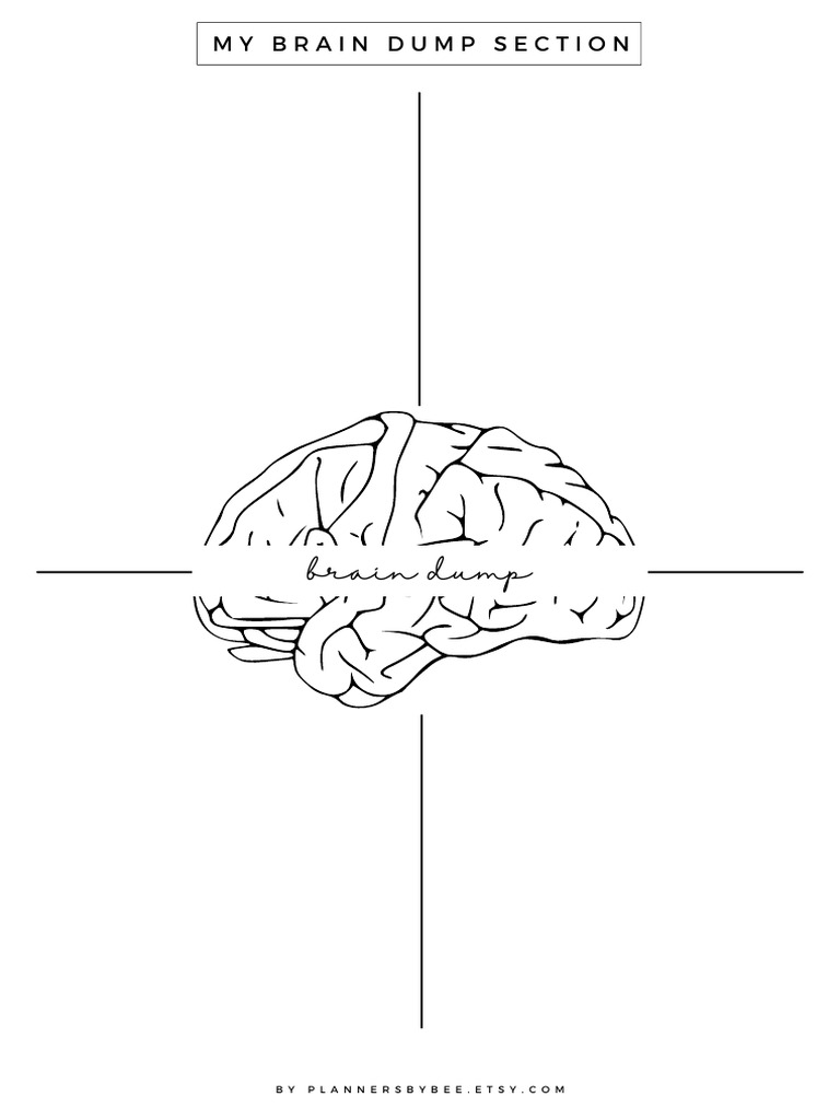 Sección de Brain Dump | PDF