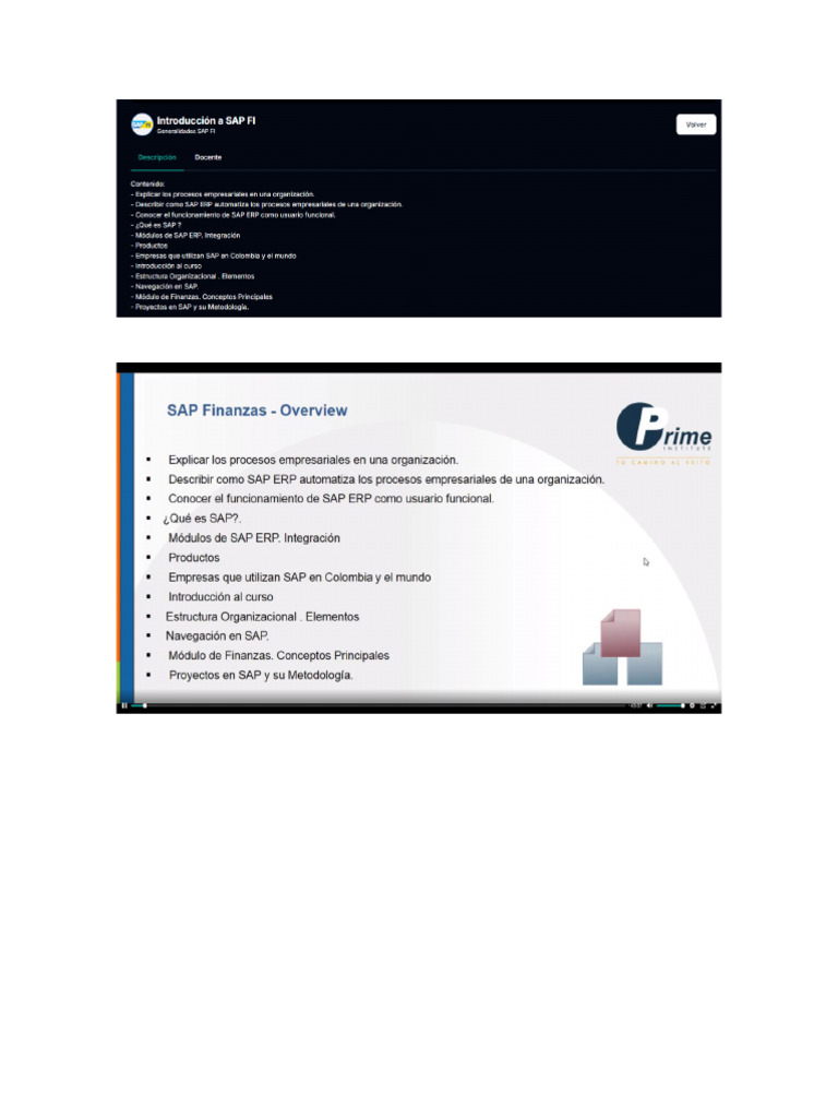 SAP FI | PDF