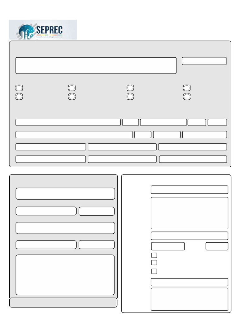 Formulario Seprec 1 | PDF | Sociedad de responsabilidad limitada | Business