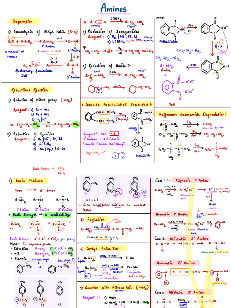Mind Map of Amines for Class 12 | PDF | Amine | Organic Chemistry