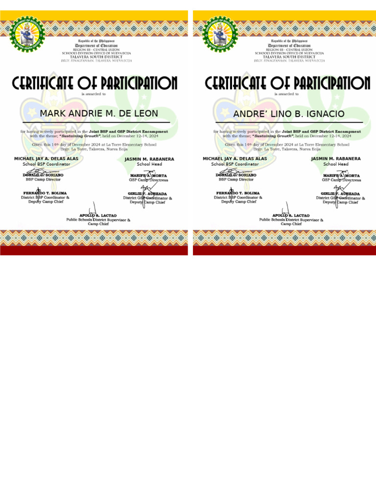 2024 BSP GSP Certificate of Participation (2) | PDF