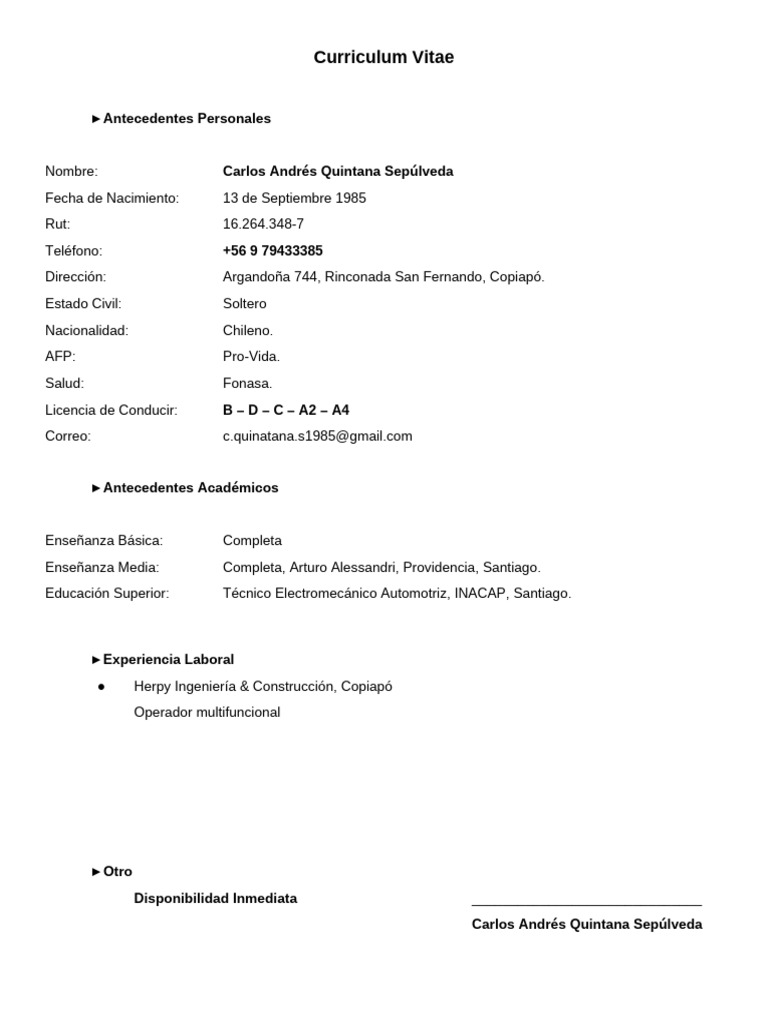 Curriculum Carlos Andres2 | PDF