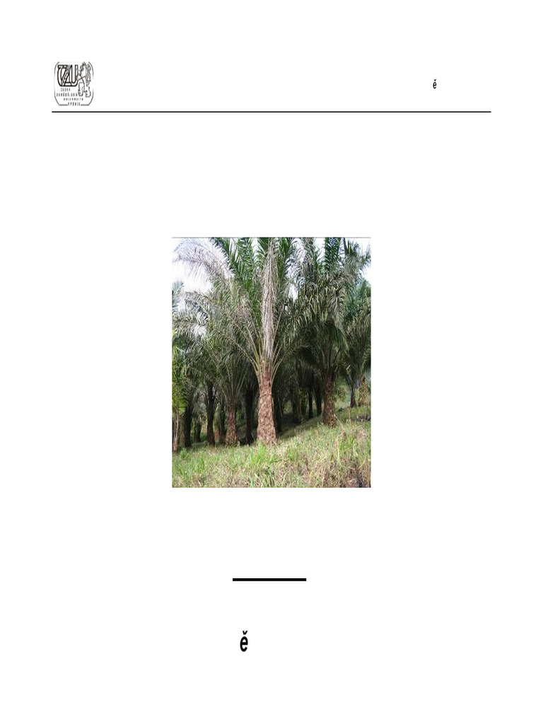 Oil Palm Production in Tropics II | PDF | Seed | Agriculture