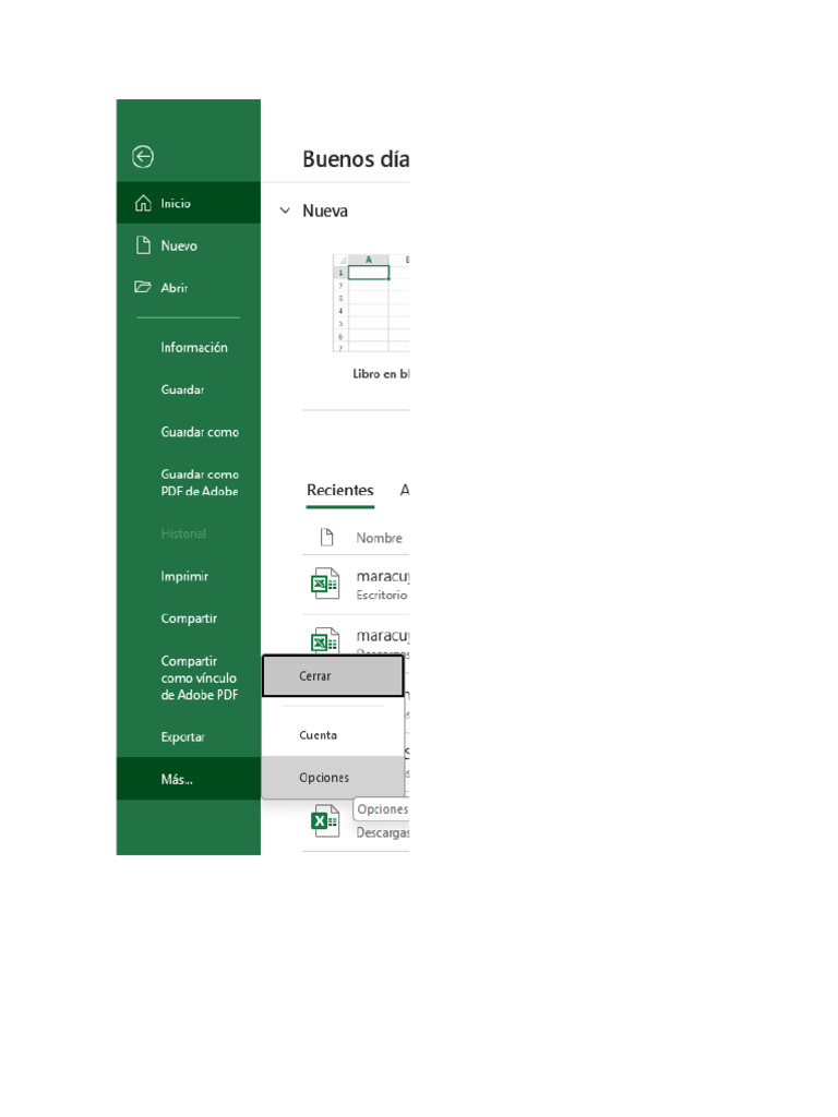 Instructivo Solver | PDF