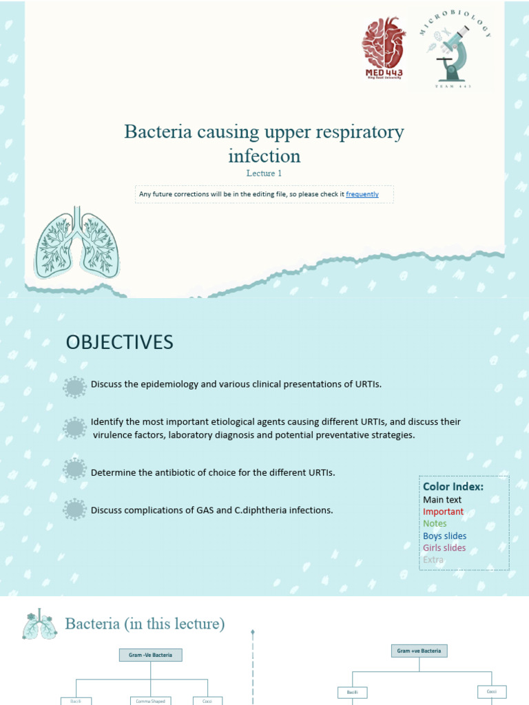 L1-Bacteria Causing Upper Respiratory Infection | PDF | Streptococcus ...