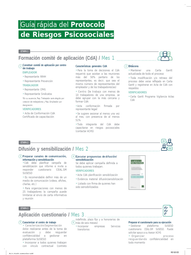 Guia Rapida Pasos para El Protocolo Psicosocial CEAL-SM | PDF