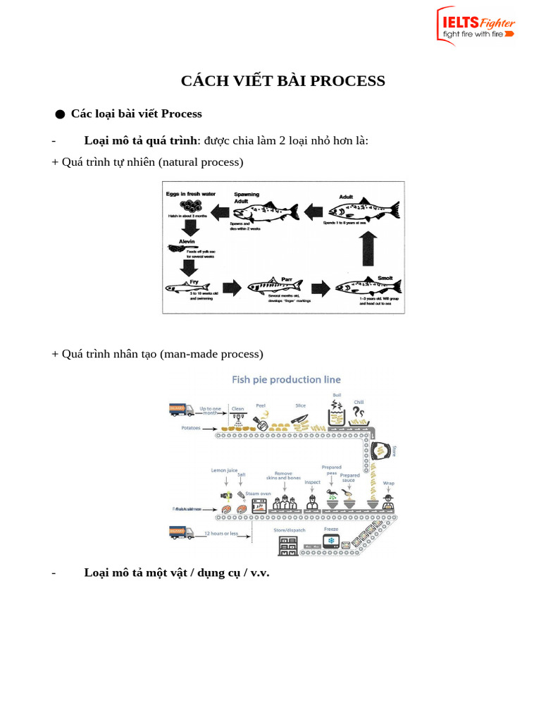 CÁCH VIẾT BÀI PROCESS | PDF