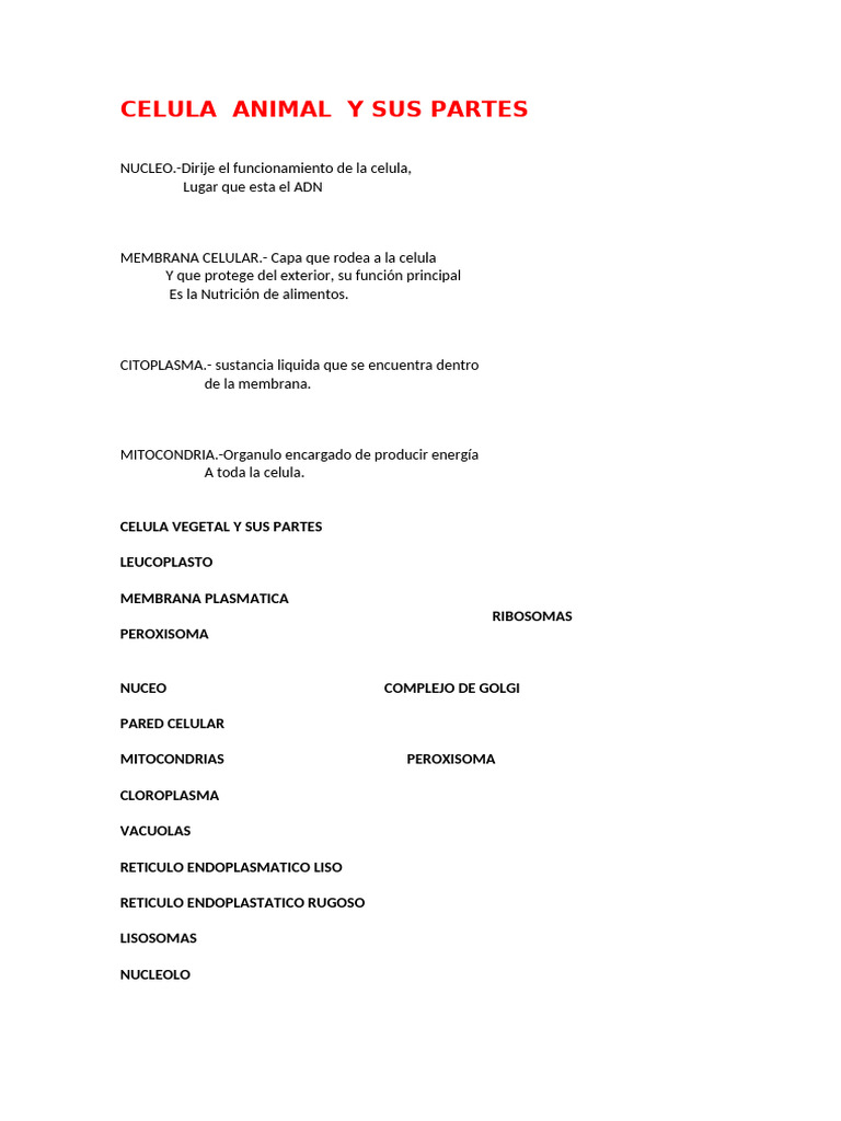 Celula Animal y Sus Partes | PDF