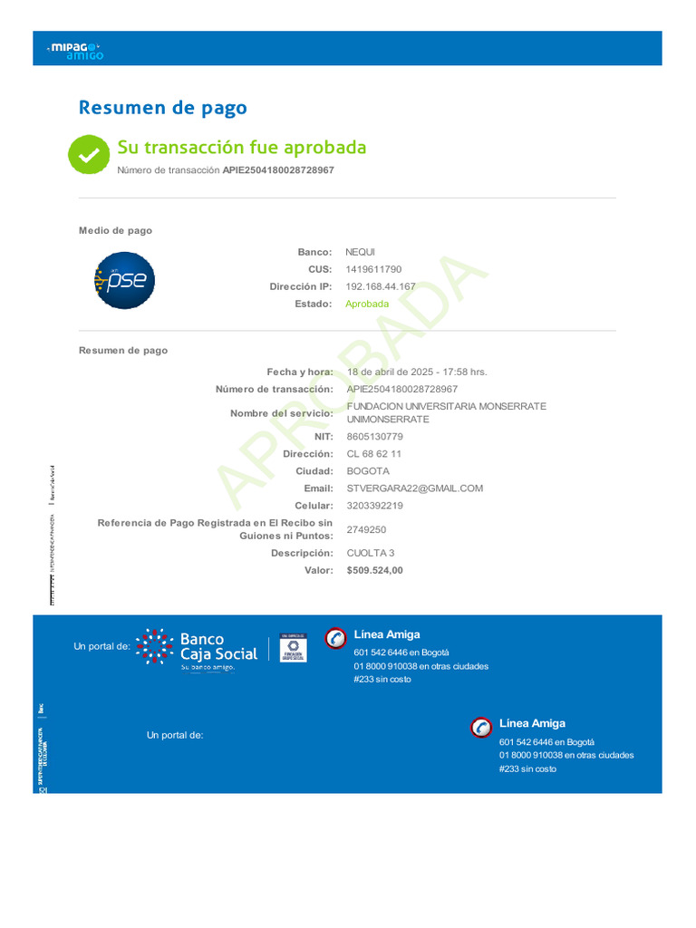 Apie2504180028728967 20250418 | PDF