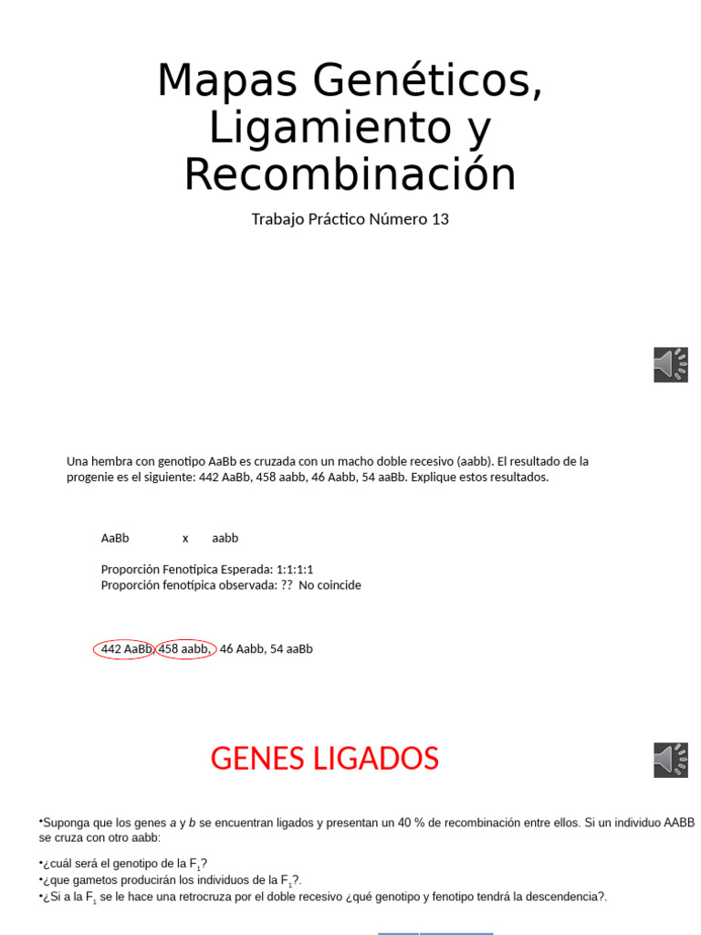 Mapas Genéticos: Ligamiento y Resultados | PDF | Dominancia (Genética ...