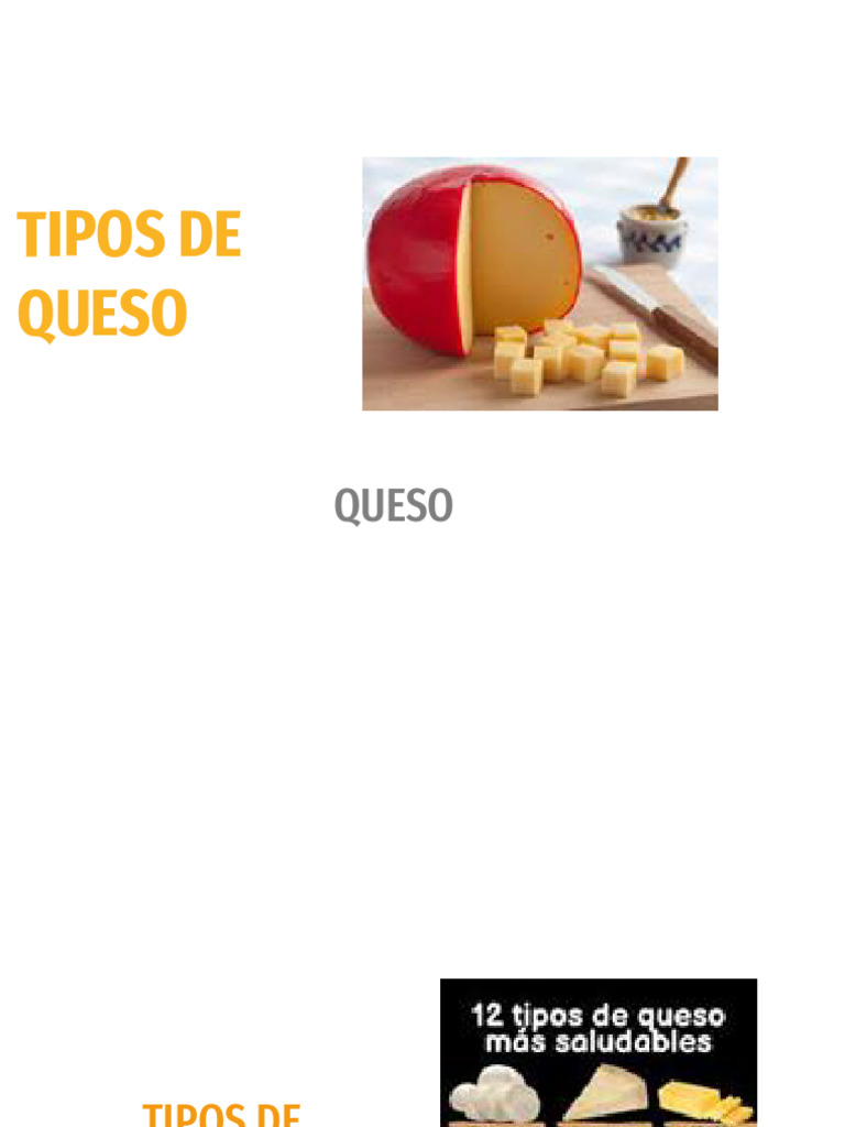 Variedad de Quesos: Tipos y Características | PDF