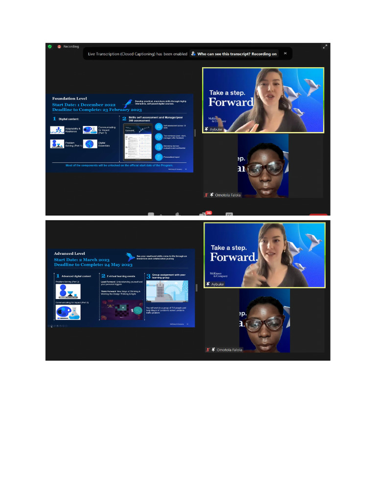 McKinsey Webinar | PDF