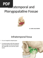 Anatomy of the Petrotympanic Fissure | PDF | Human Head And Neck ...