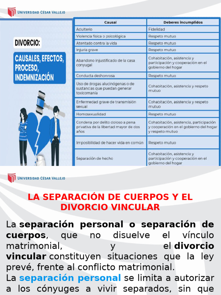 Separación de Cuerpos y Divorcio Vincular | PDF | Divorcio | Matrimonio