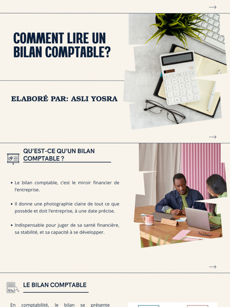Comment Lire Un Bilan Comptable | PDF