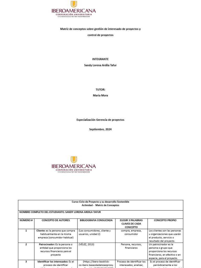 Matriz de conceptos sobre gestión de interesado de proyectos 1 | PDF ...