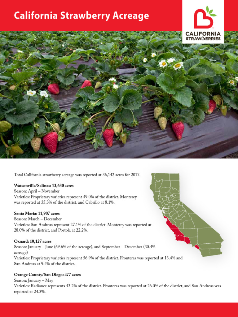 California Strawberry Acreage Overview | PDF | California | Agriculture