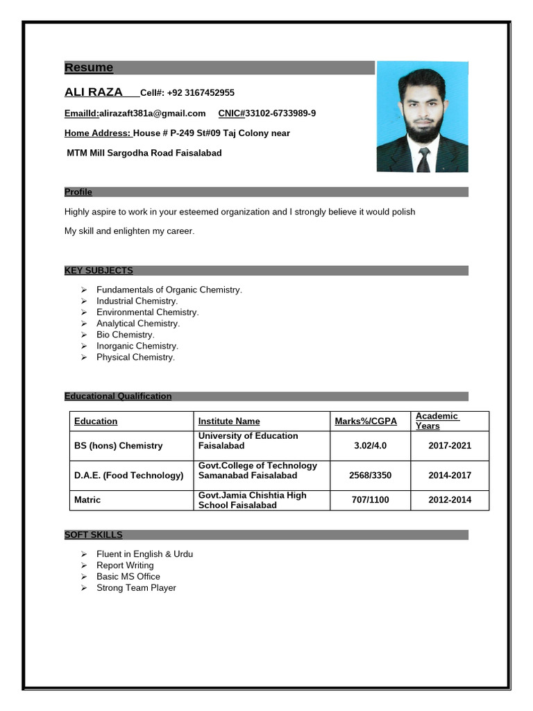 Ali Raza CV | PDF