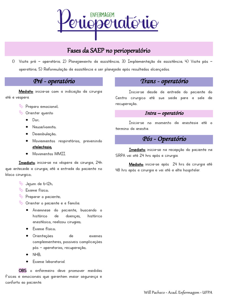 Fases Do SEAP | PDF