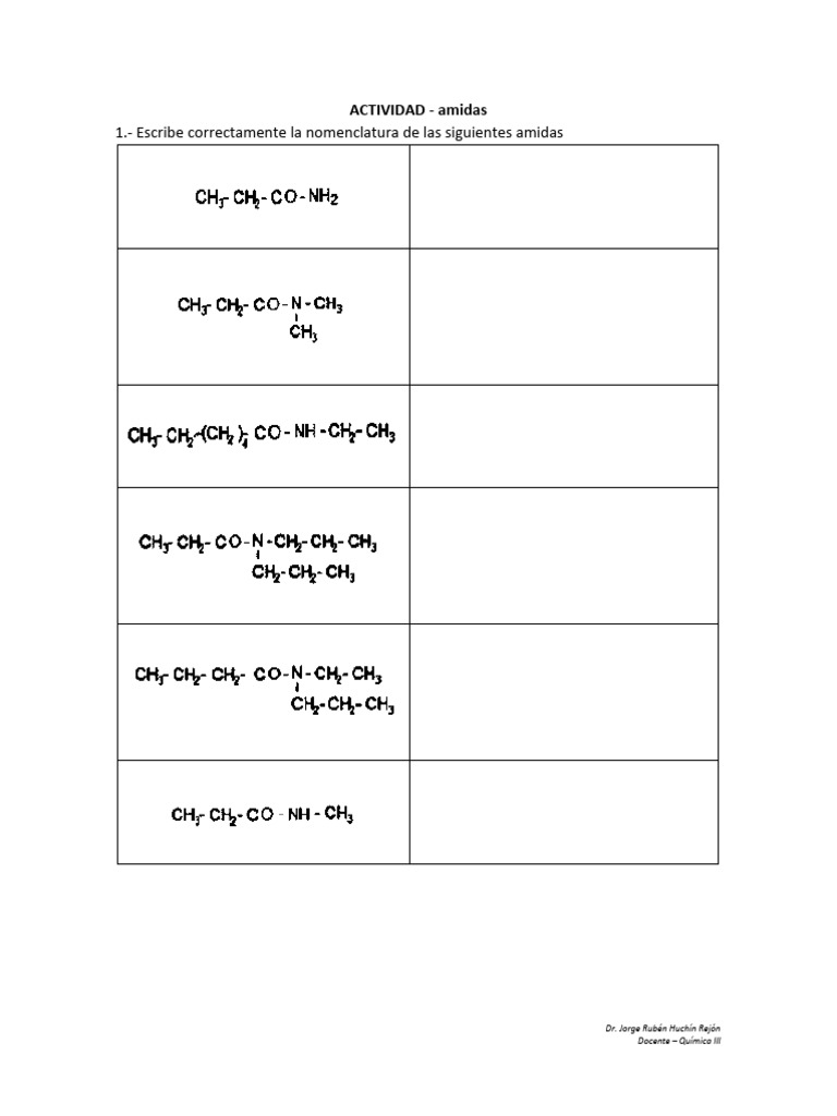 Amida Actividad | PDF